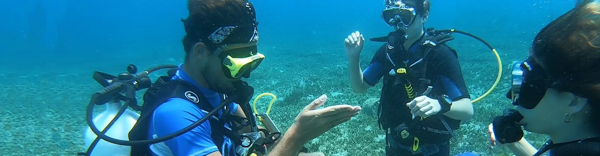 Diving for Beginners - SUBEX